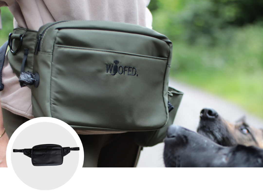 Alles dabei in der praktischen Gassitasche für Hundespaziergänge